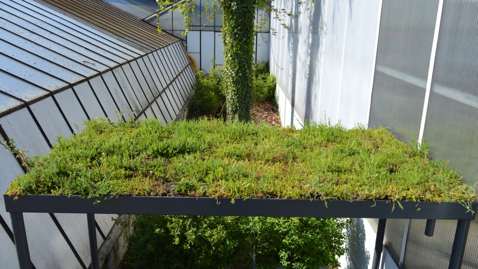 Begrünbares Fertigdach nach Maß