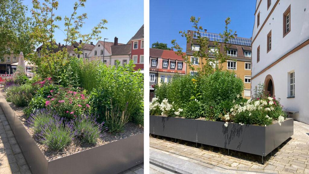 Pflanzeninseln in Städten mit Hydro Profi Line® Pflanzsystem