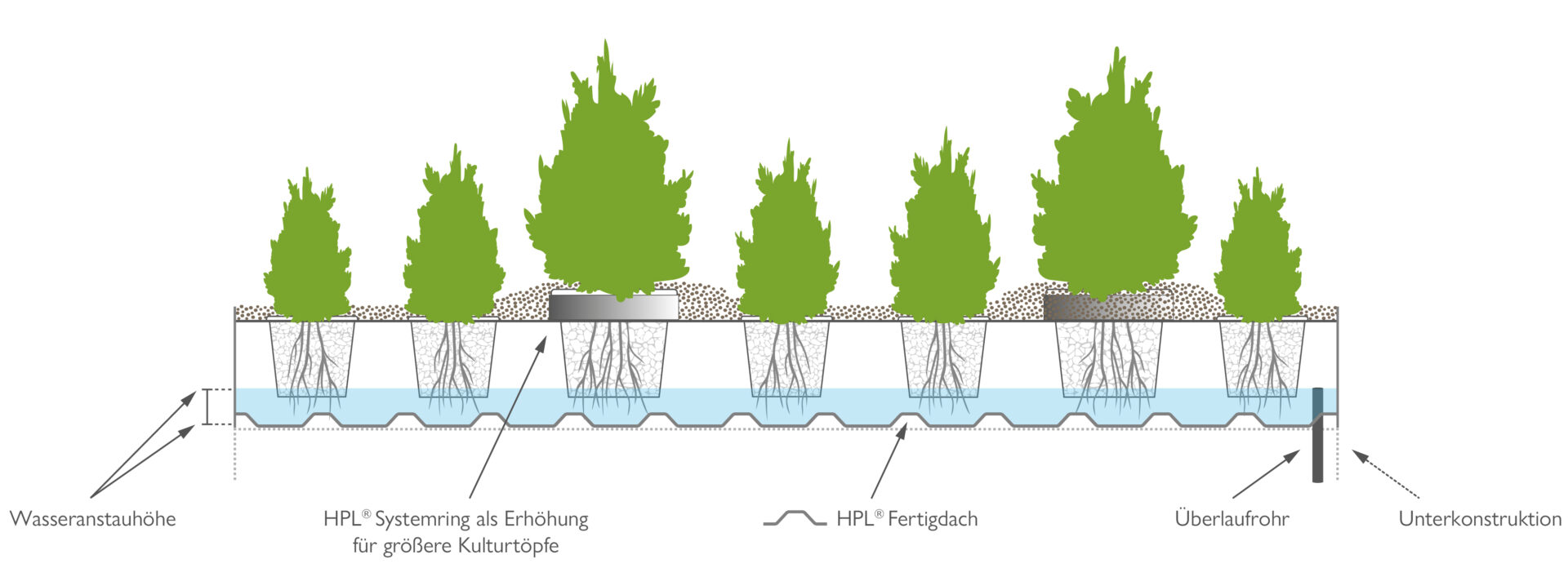 Fertigdach nach Maß mit Hydro Profi Line Begrünungssystemen